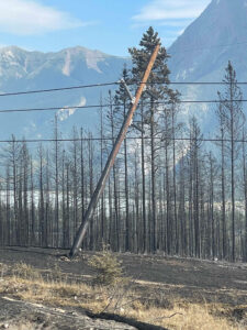 ATCO defends new overhead power lines - News