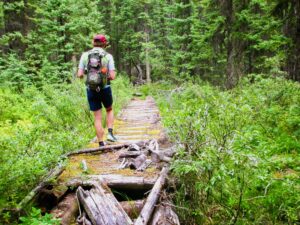 A bridge too far: Neglect of backcountry trails severs Canadians ...