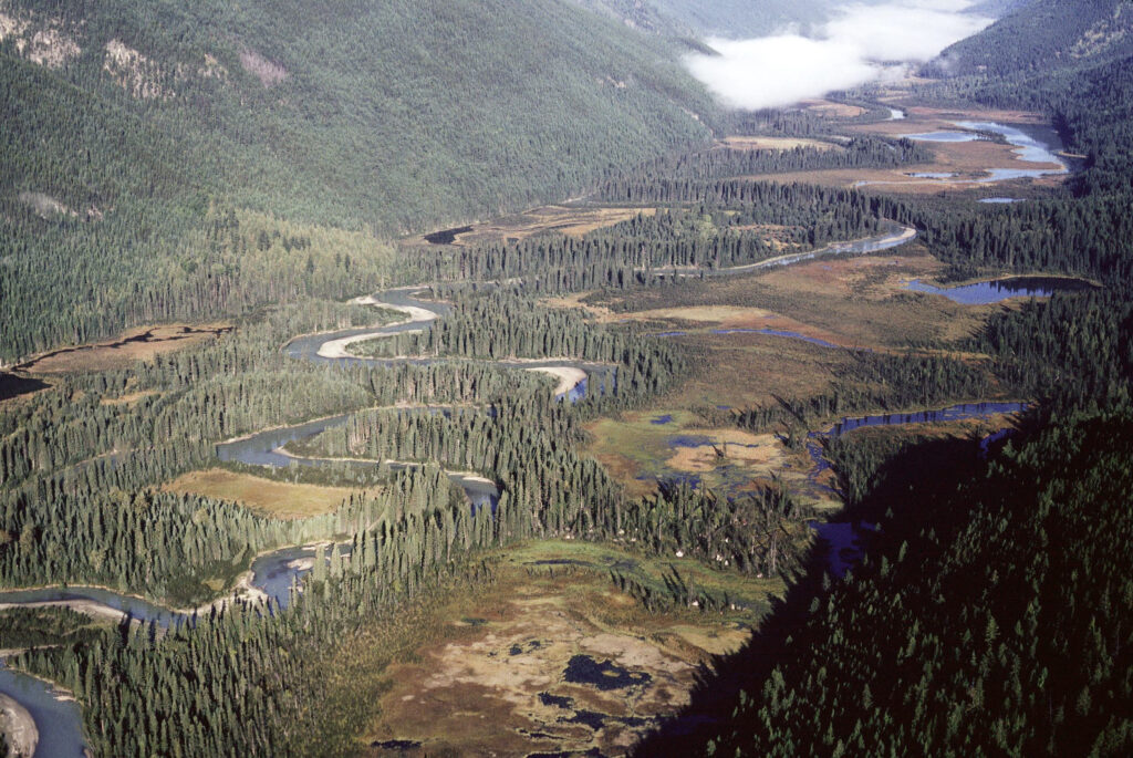 First Nation Groups In B C Assert Authority To Protect Important