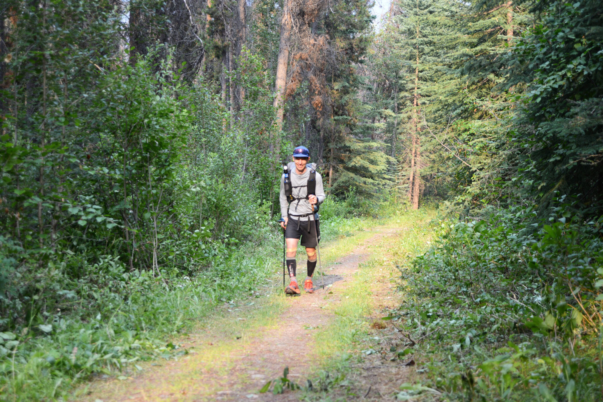 Guilty plea for black bear shooter - News