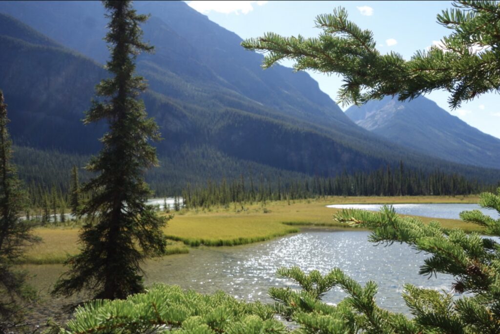 Fully funded bridge proposal rebuffed by Jasper’s superintendent - News