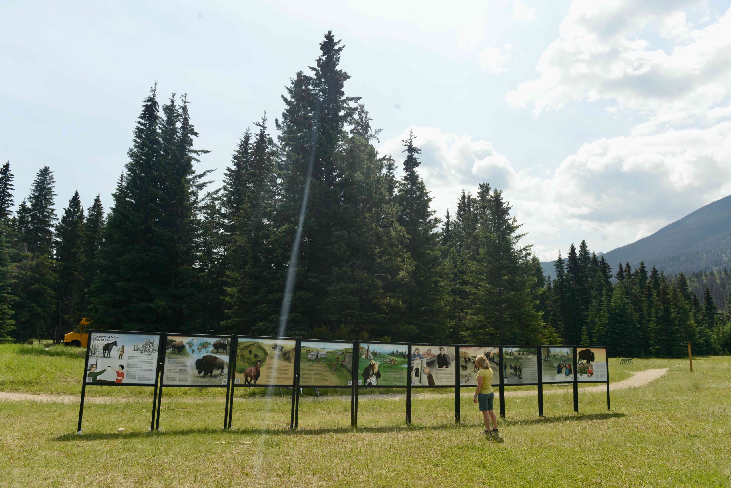 Importance of buffalo to Métis on display in Jasper National Park - News