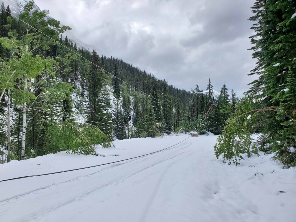 Visitors stranded at Miette, Maligne, after snow storm - News