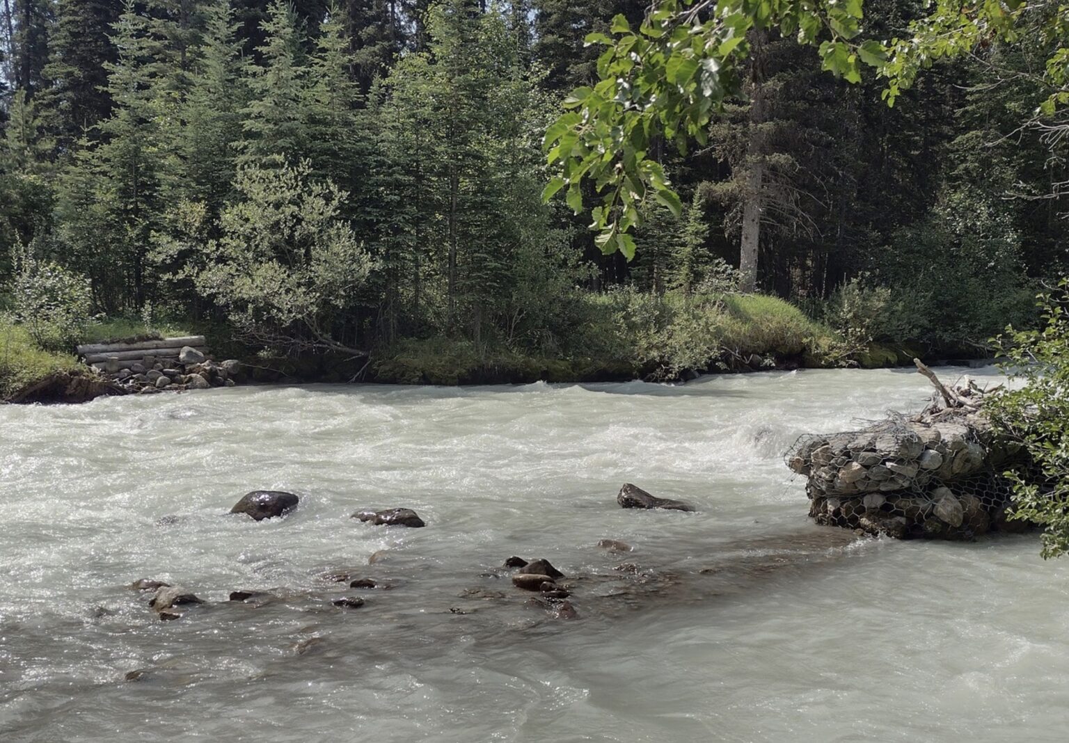 Letter: Has JNP management lost sight of what a park is for? - News