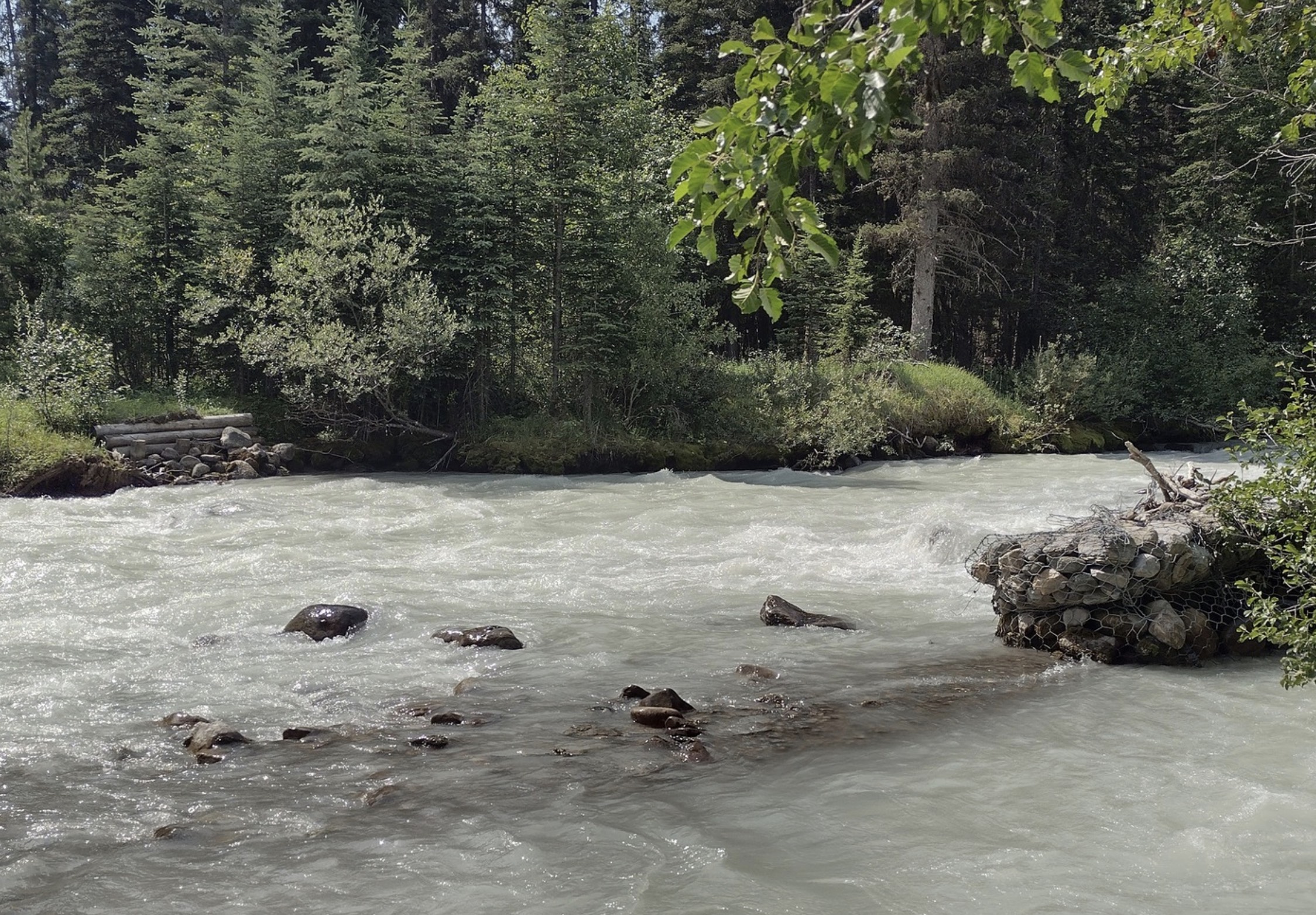 Letter: Has JNP management lost sight of what a park is for? - News