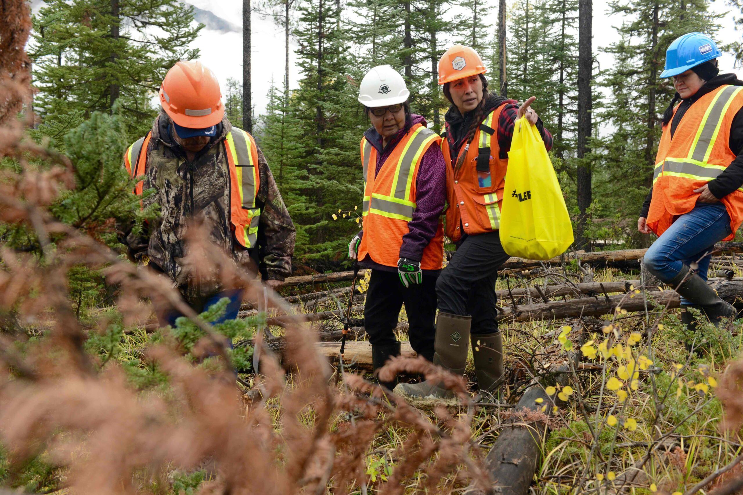 "Now our insights are acknowledged." Indigenous partners collaborating ...