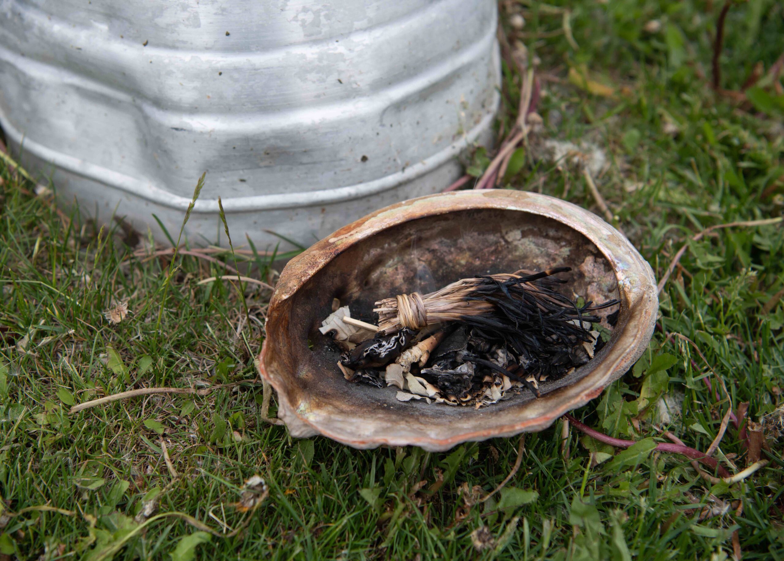 Shared history: Indigenous harvest a symbol of reconciliation - News