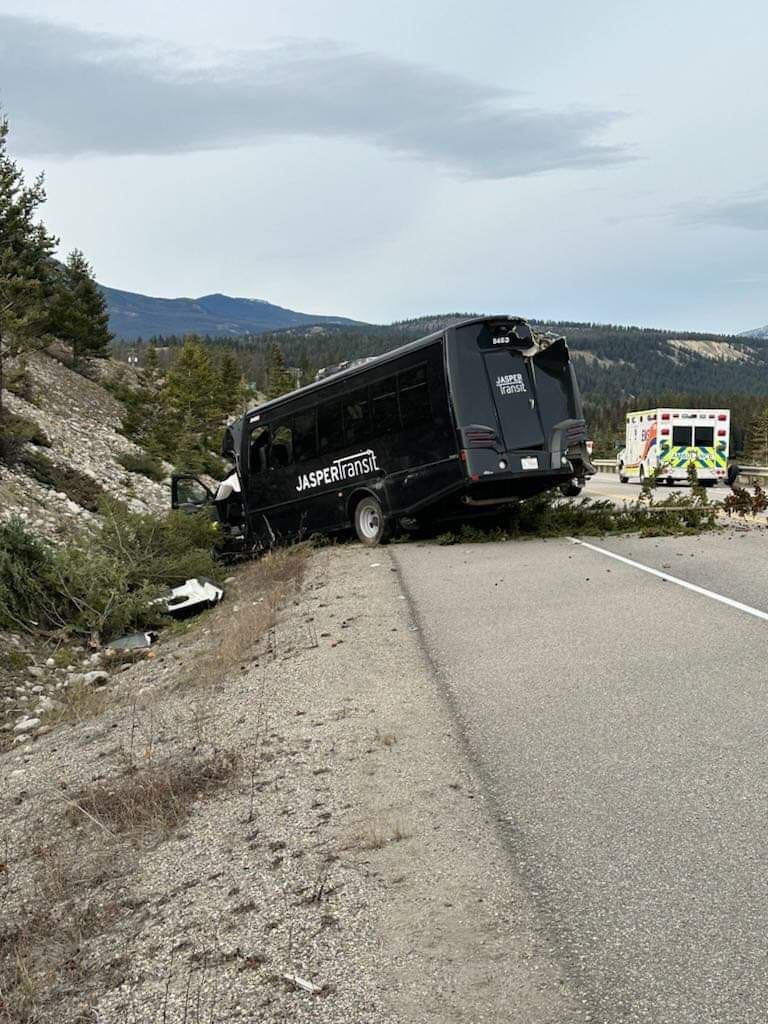 Driver not at fault in bus crash - News