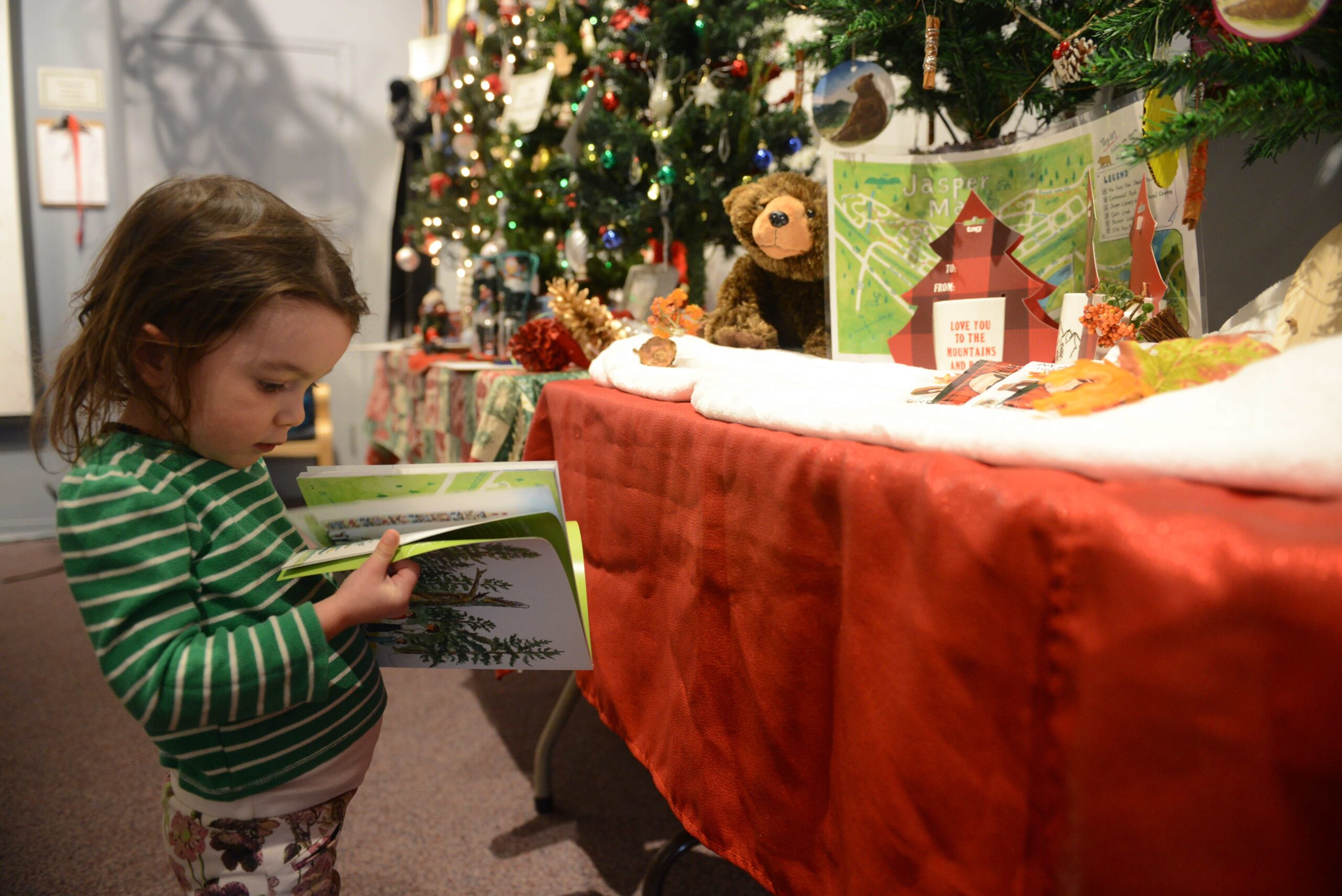Festival of Trees spreading its branches - News