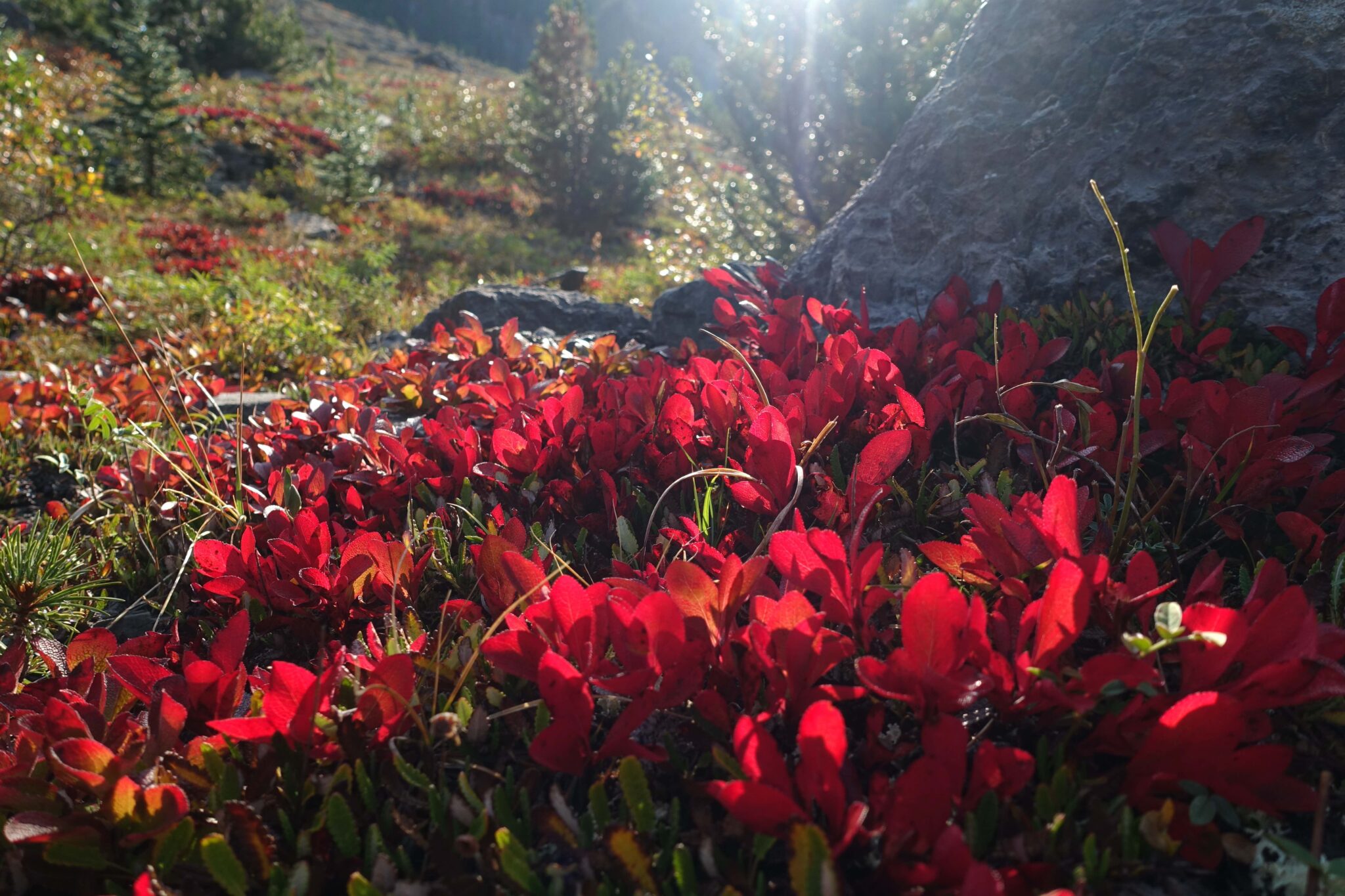 "What’s there to see, anyway?" - News