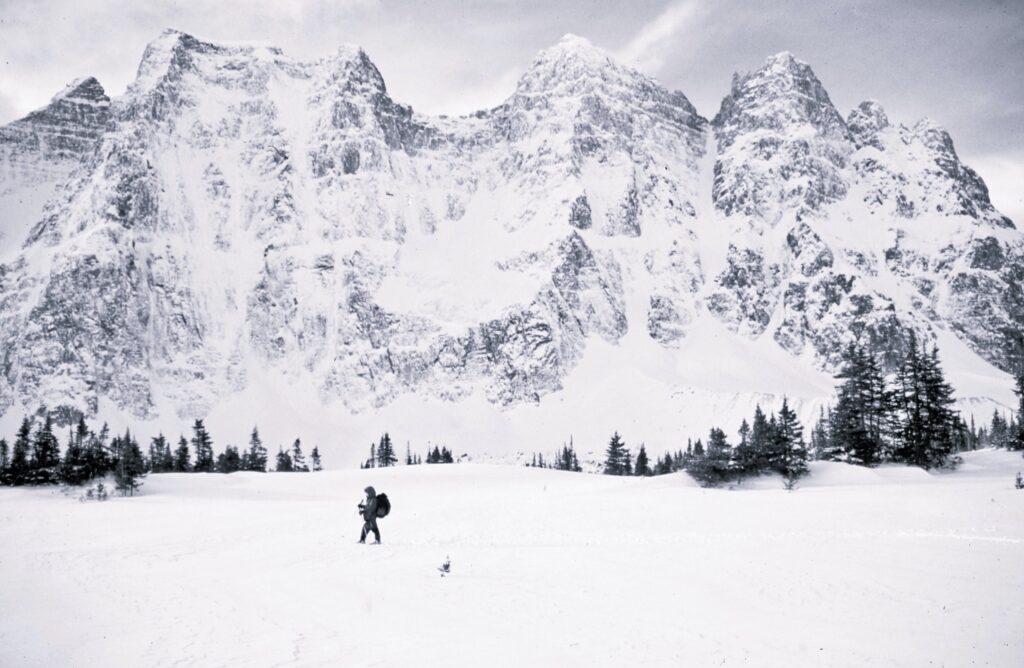 Jasper History - News