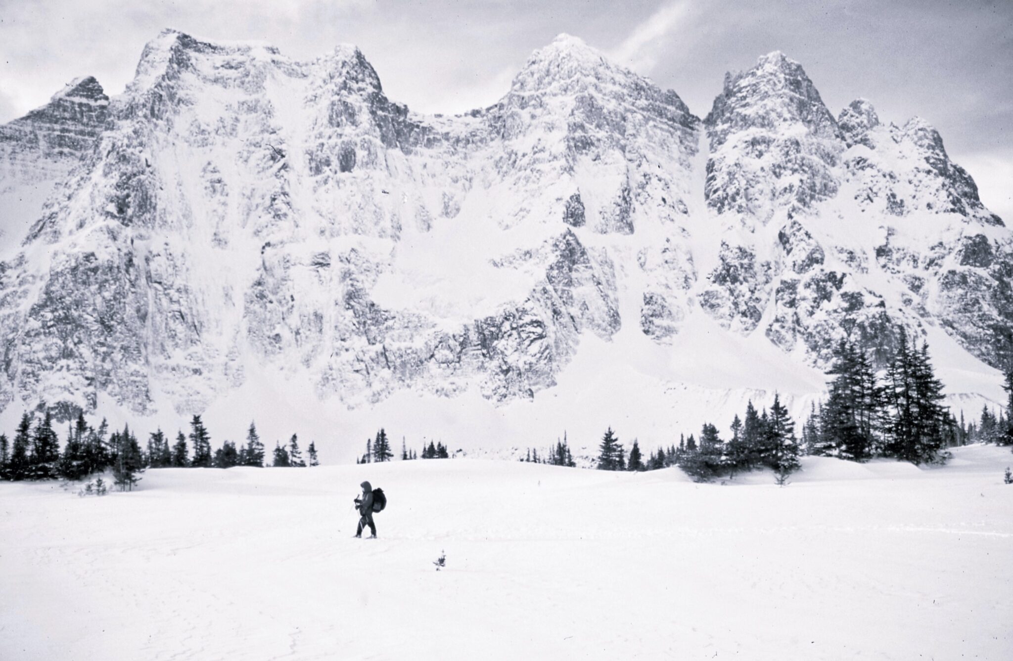 Jasper History - News