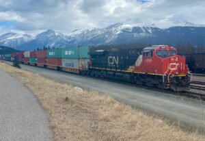 Ewe can’t do that! CN crew gives train ride to injured bighorn sheep - News