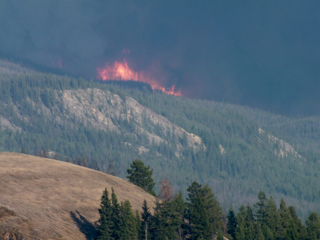 Wildfires burn closer to Jasper townsite; break in weather on horizon ...