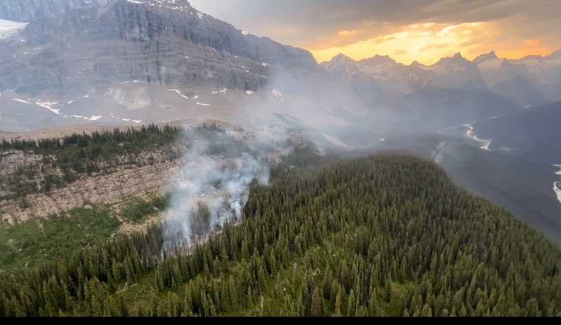 Three wildfires being fought in remote JNP - News