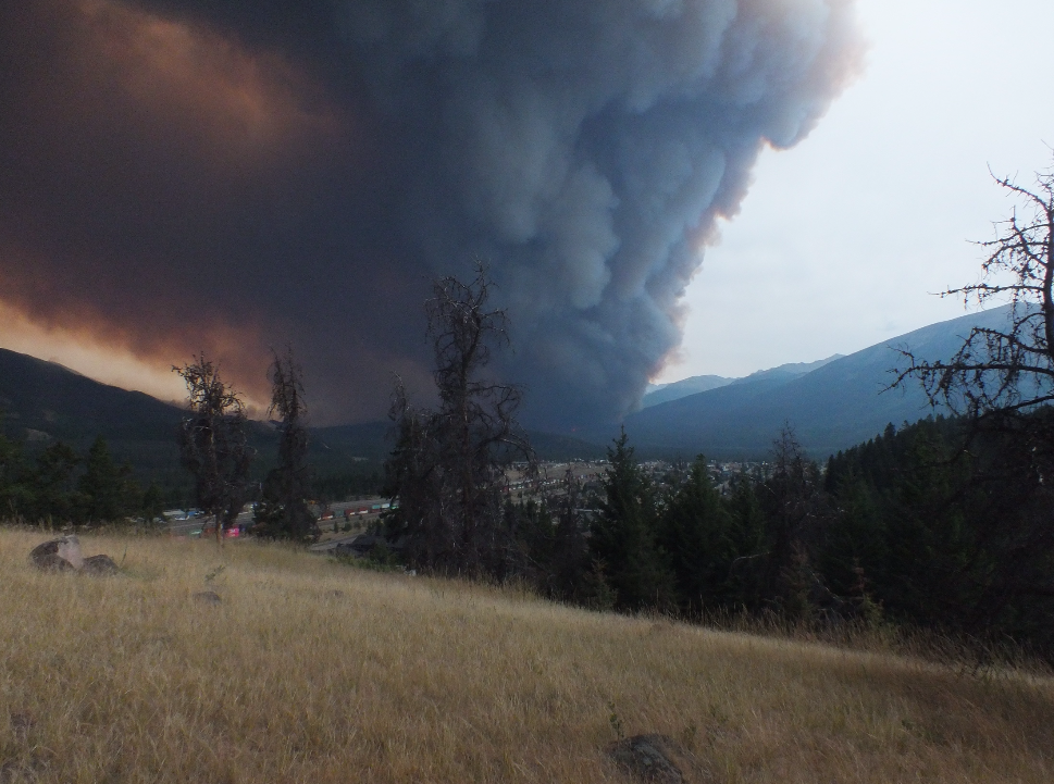 Three days in July - News