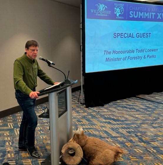 Wildlife responders program a poorly camouflaged grizzly hunt? - News