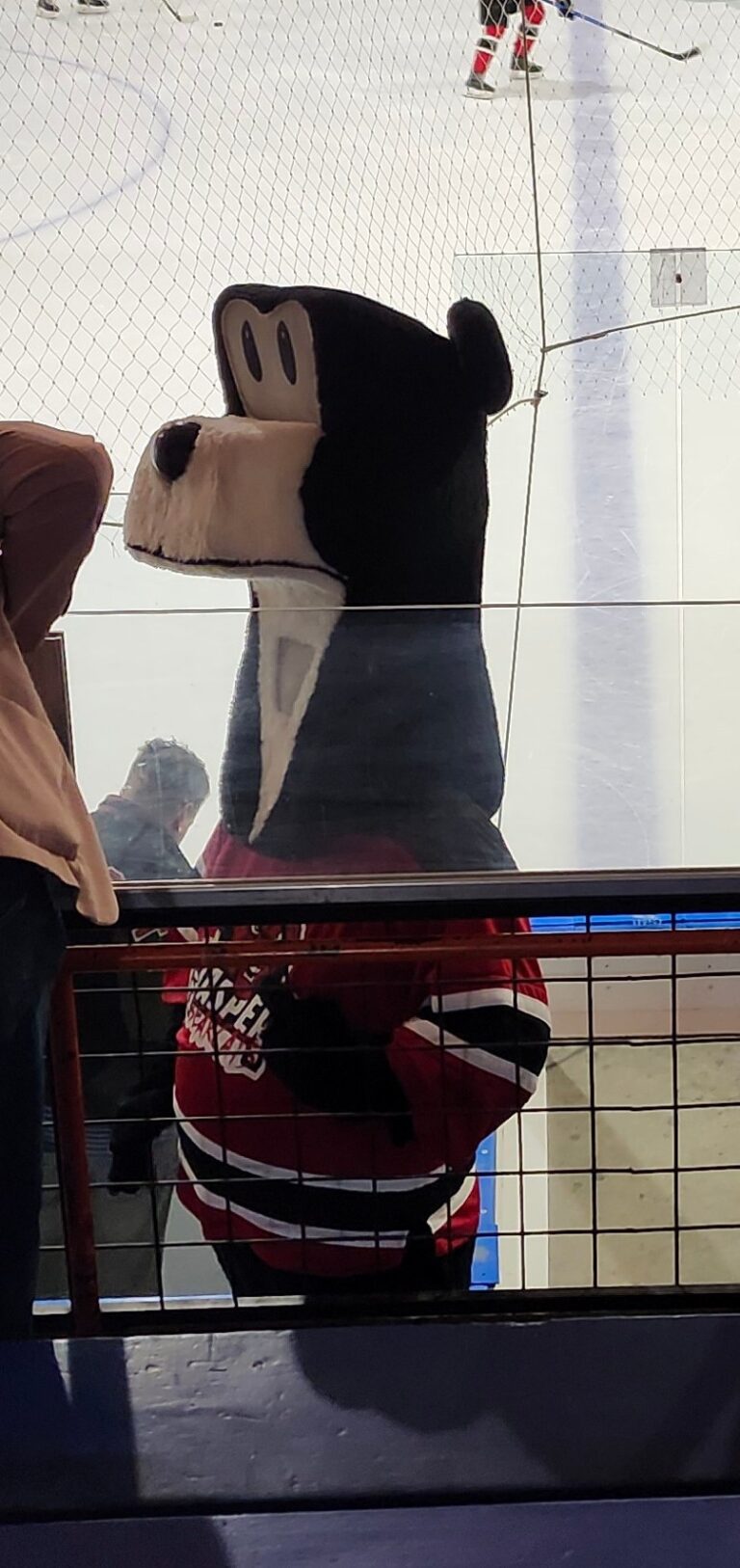 Jasper Hockey Days welcomes fans to newly renovated arena - News