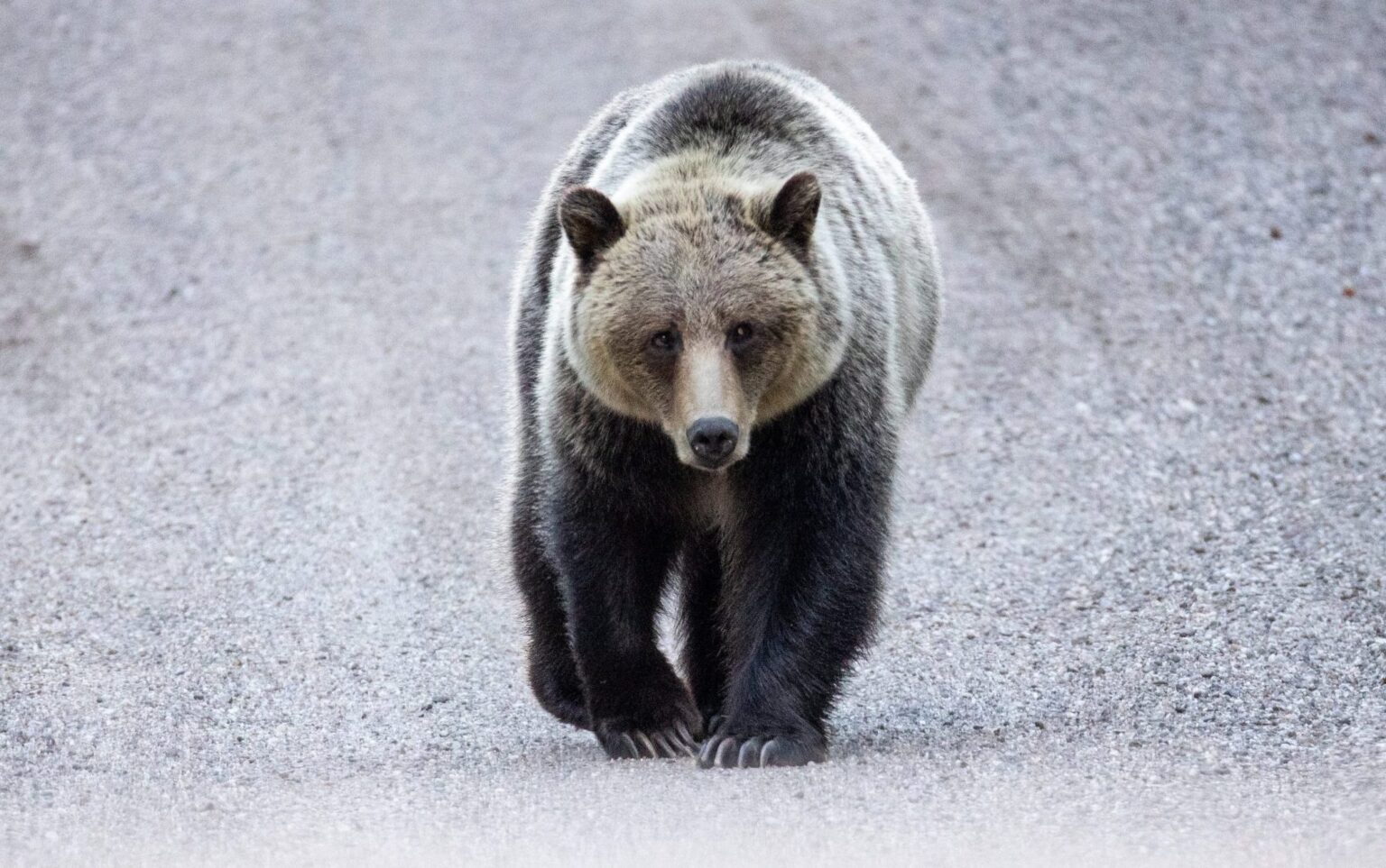 300-plus interim housing units en route to Jasper - News