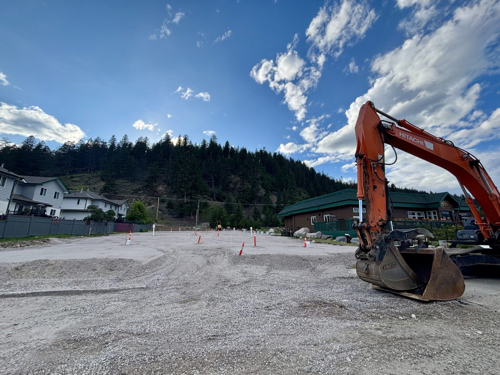 Letter: Bird-friendly windows reduce avian fatalities - News