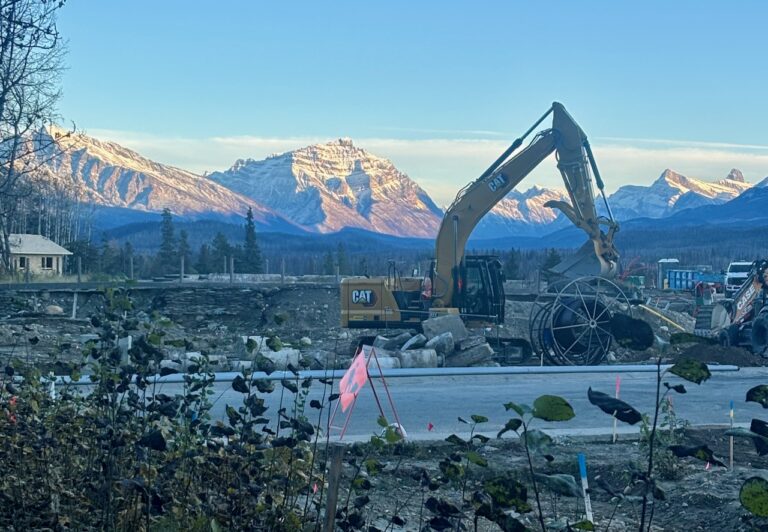 Letter: Bird-friendly windows reduce avian fatalities - News