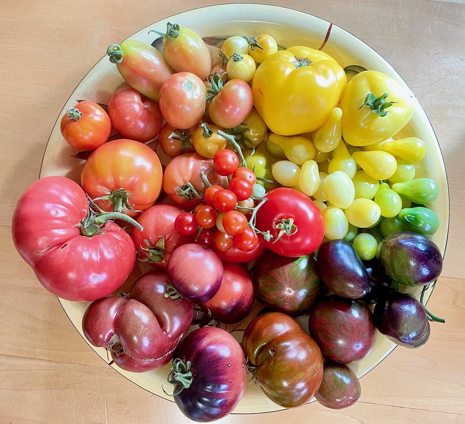 Alberta teachers to vote on tentative agreement - News