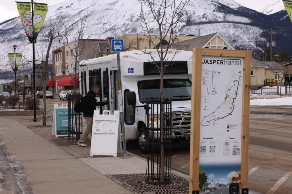 Local Government - News