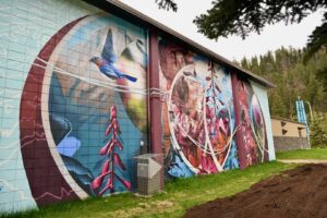 Water Not Coal canvassers looking to mine Yellowhead for signatures - News