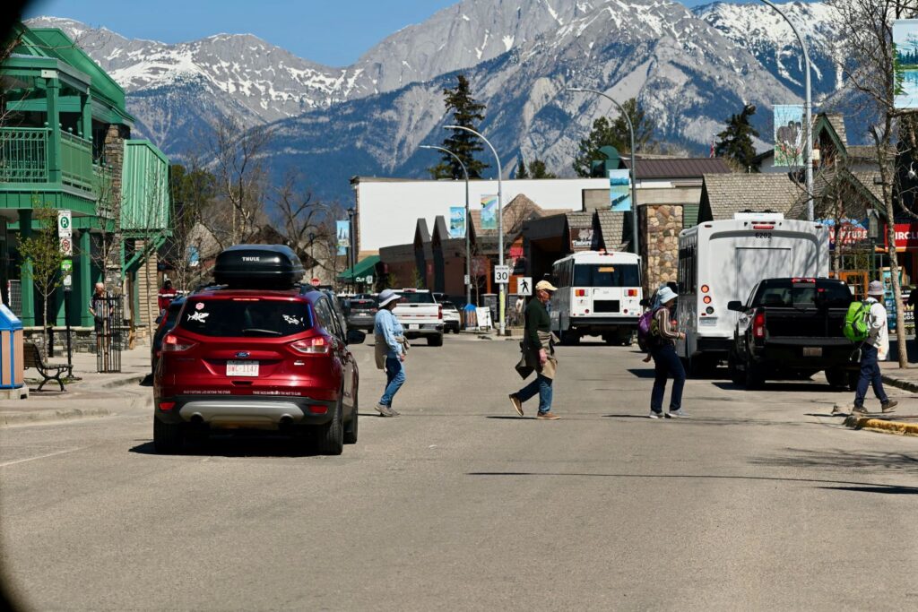 Survey says: lack of visitors biggest hurdle to recovery - News