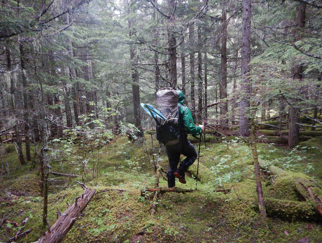 First Nation groups in B.C. assert authority to protect important ...